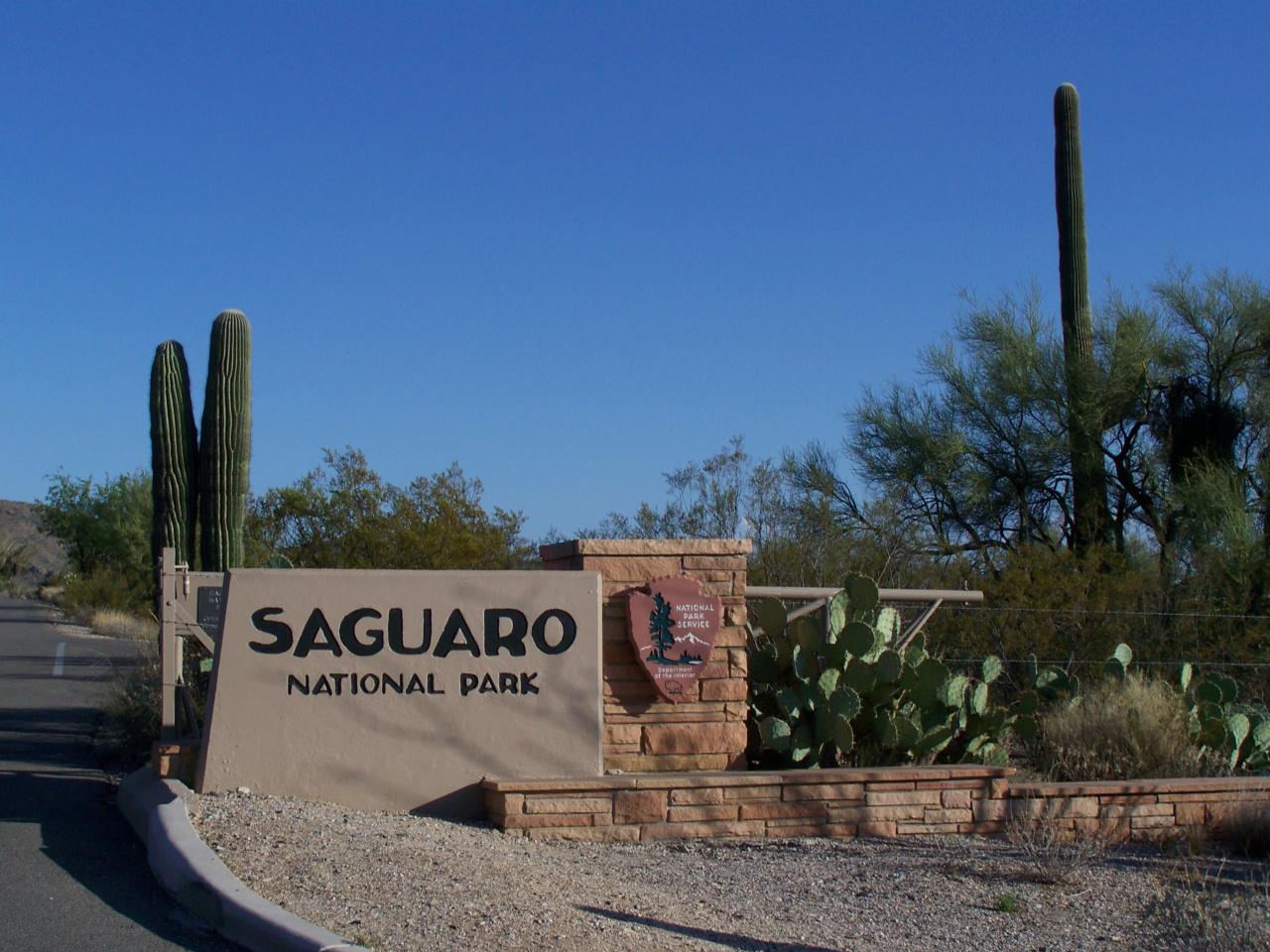 Saguaro National Park | MowryJournal.com