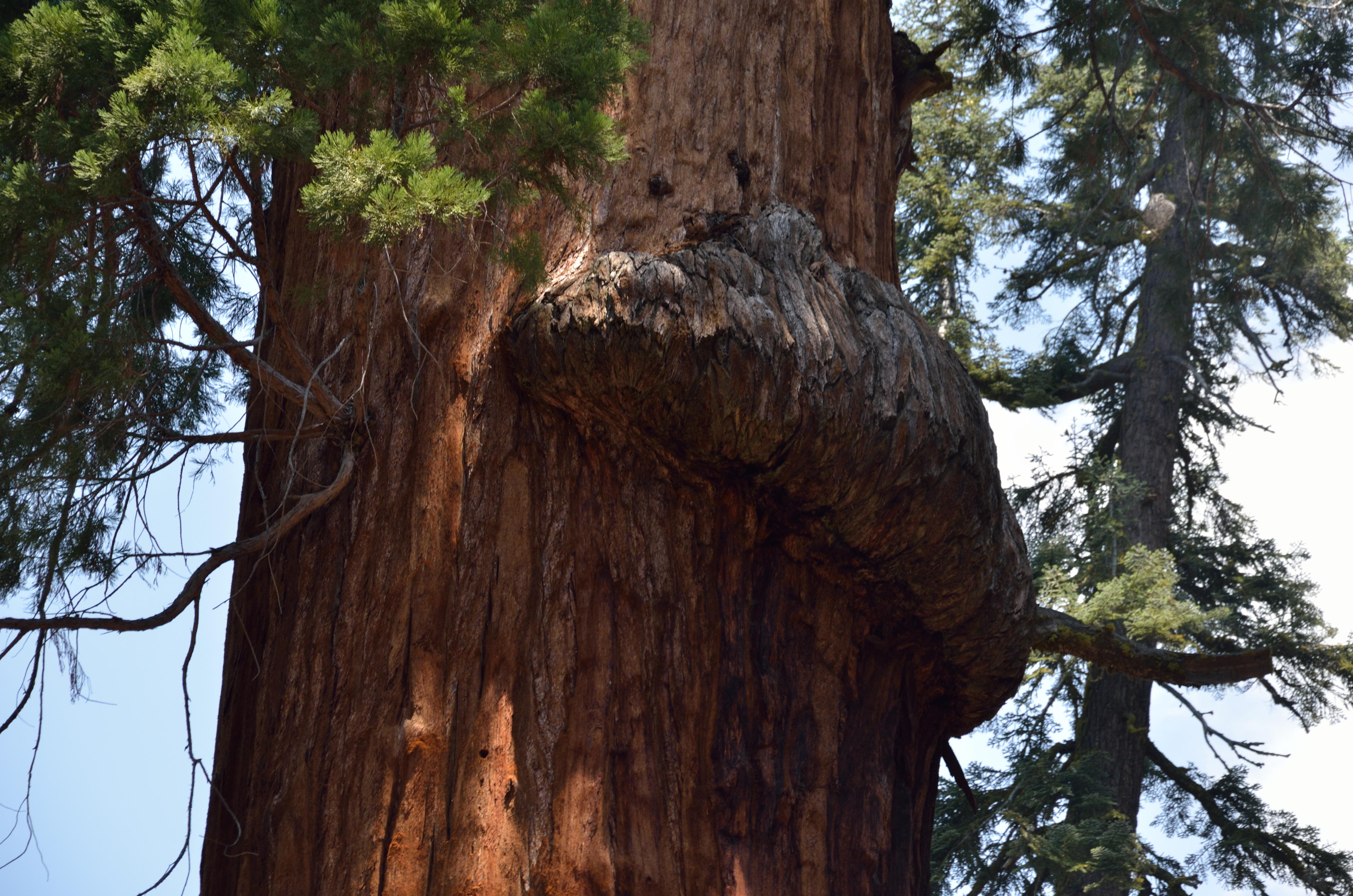 Congress Trail 19 | MowryJournal.com