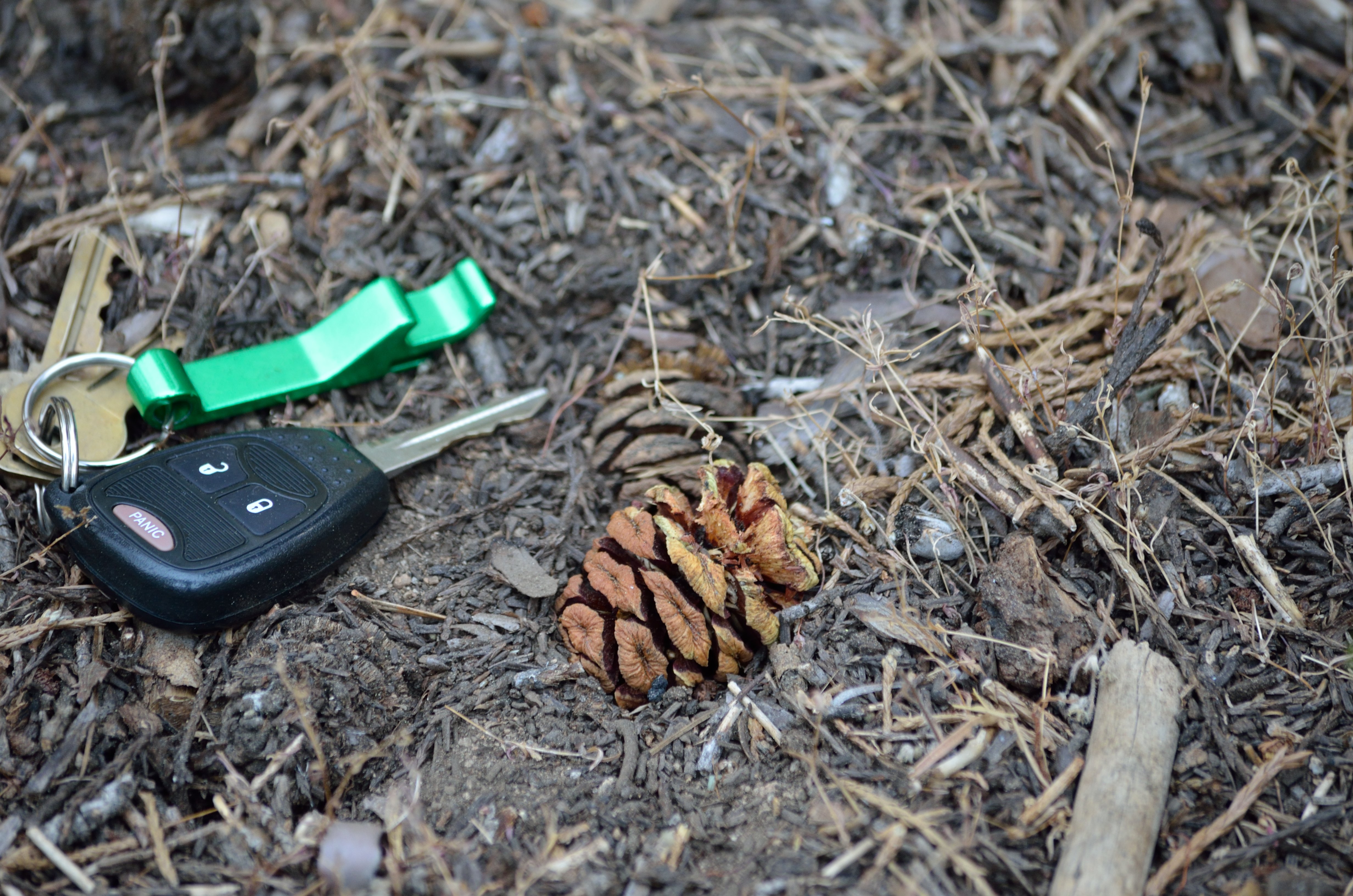 Congress Trail 28 | MowryJournal.com