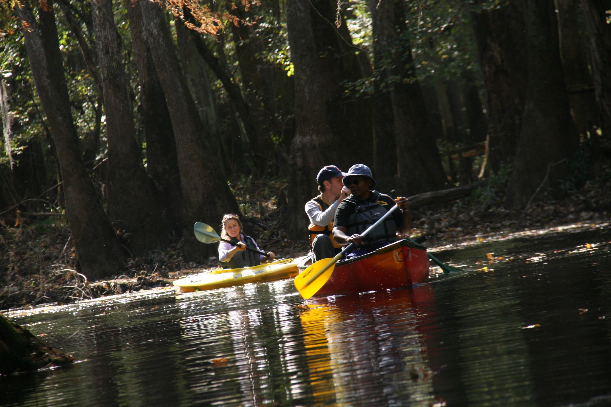 Congaree National Park | MowryJournal.com