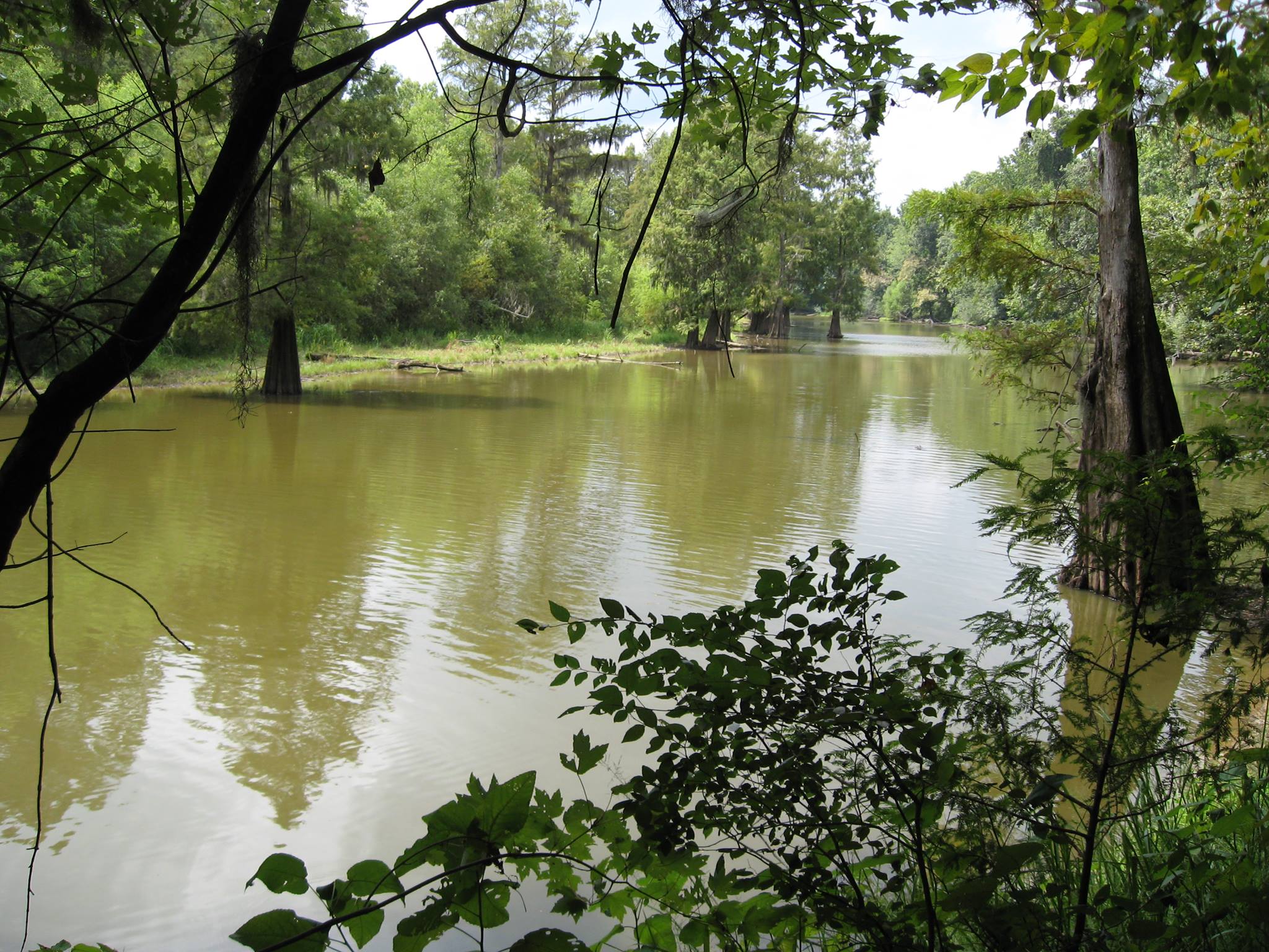 Congaree National Park | MowryJournal.com