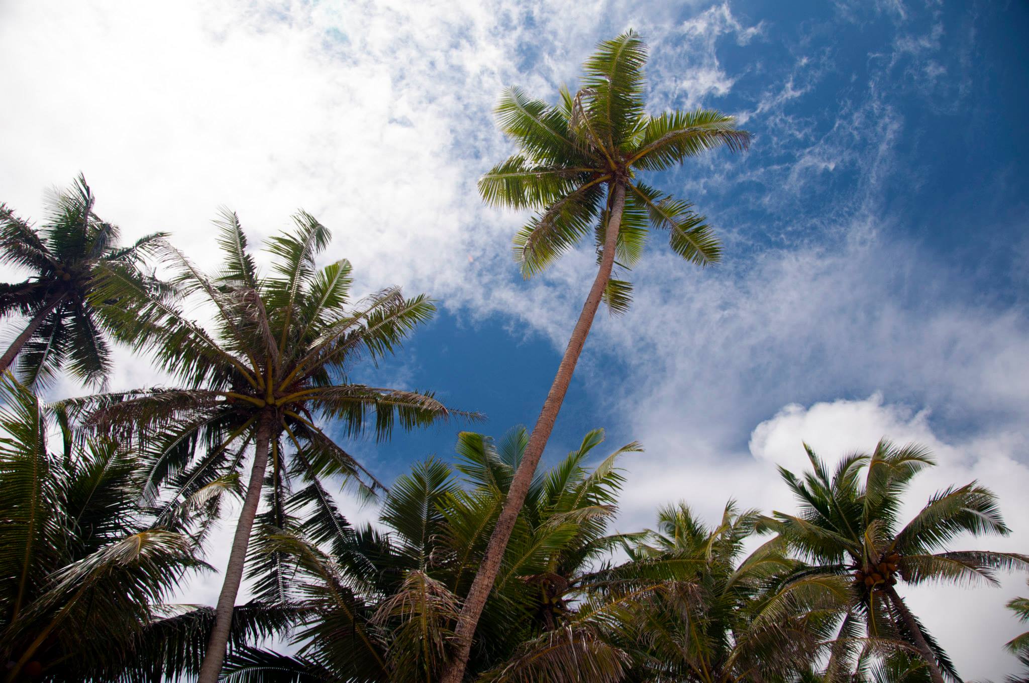National Park of American Samoa | MowryJournal.com