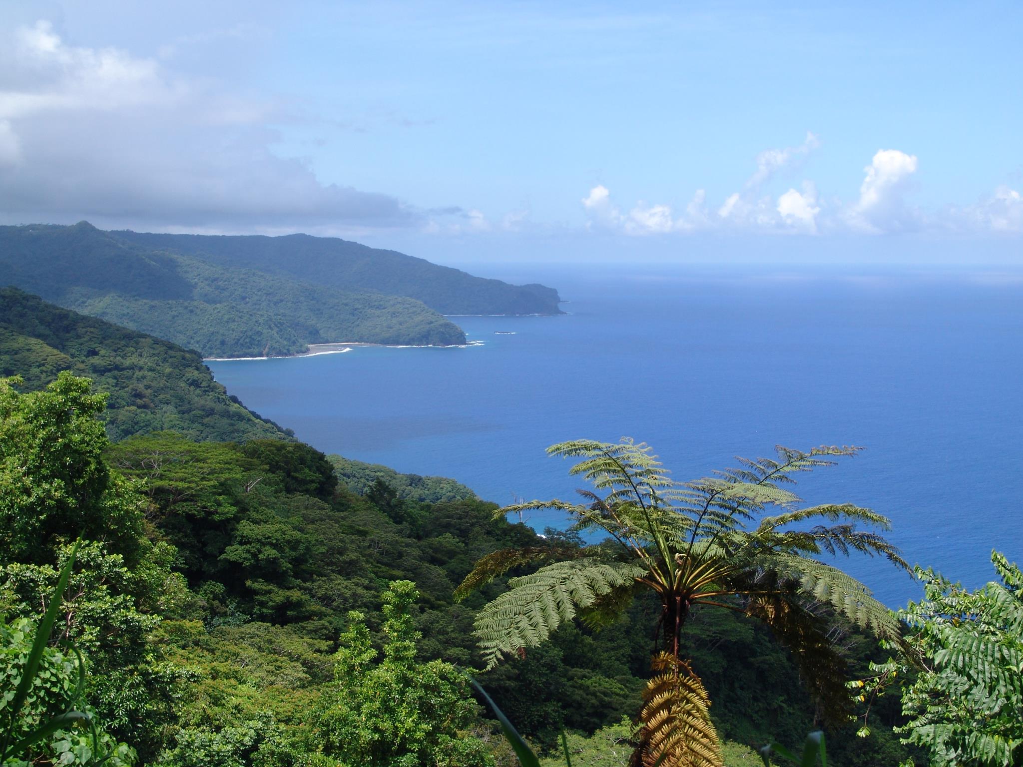 NPAS 16 | MowryJournal.com