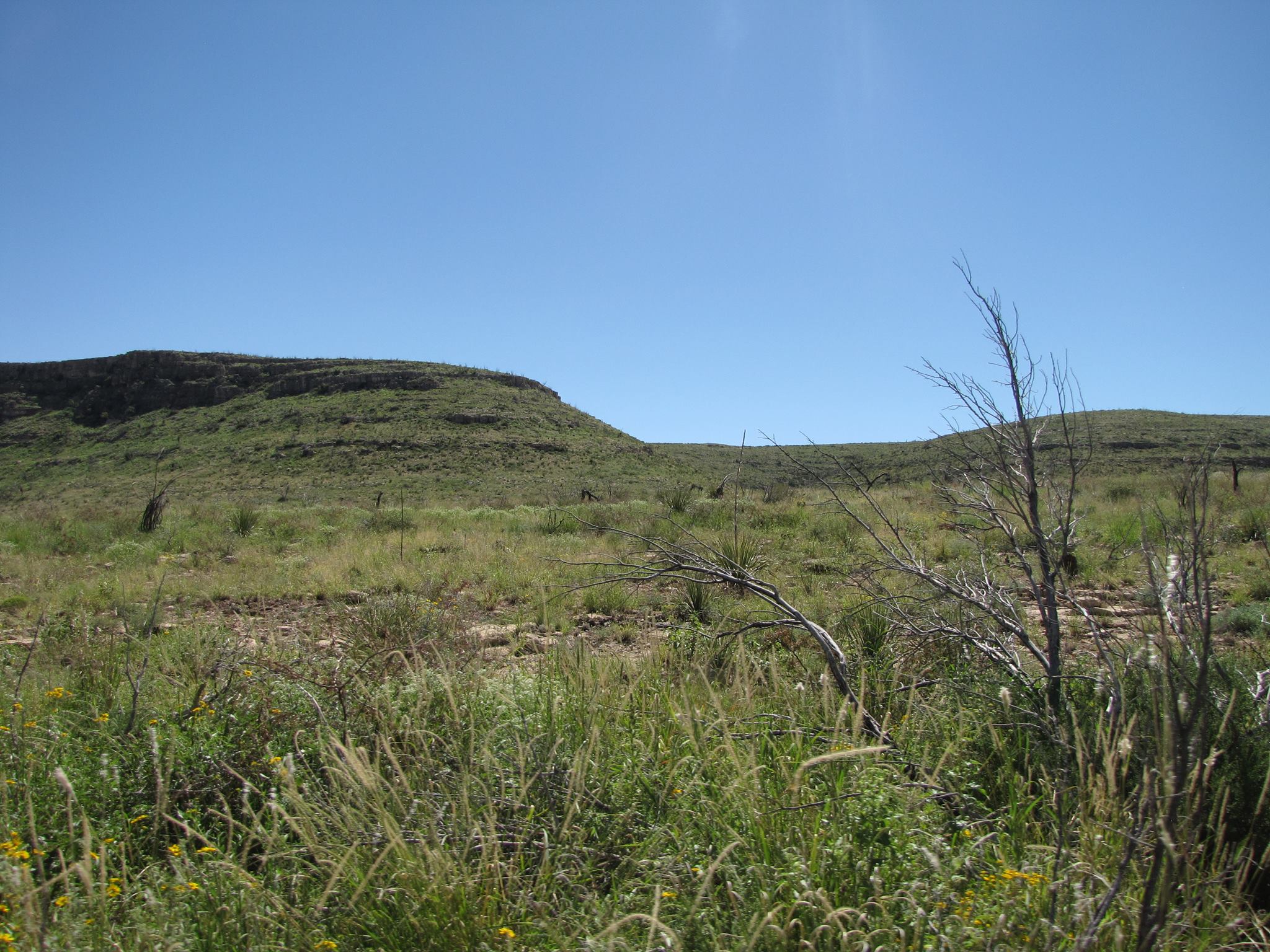 Carlsbad Caverns National Park | MowryJournal.com