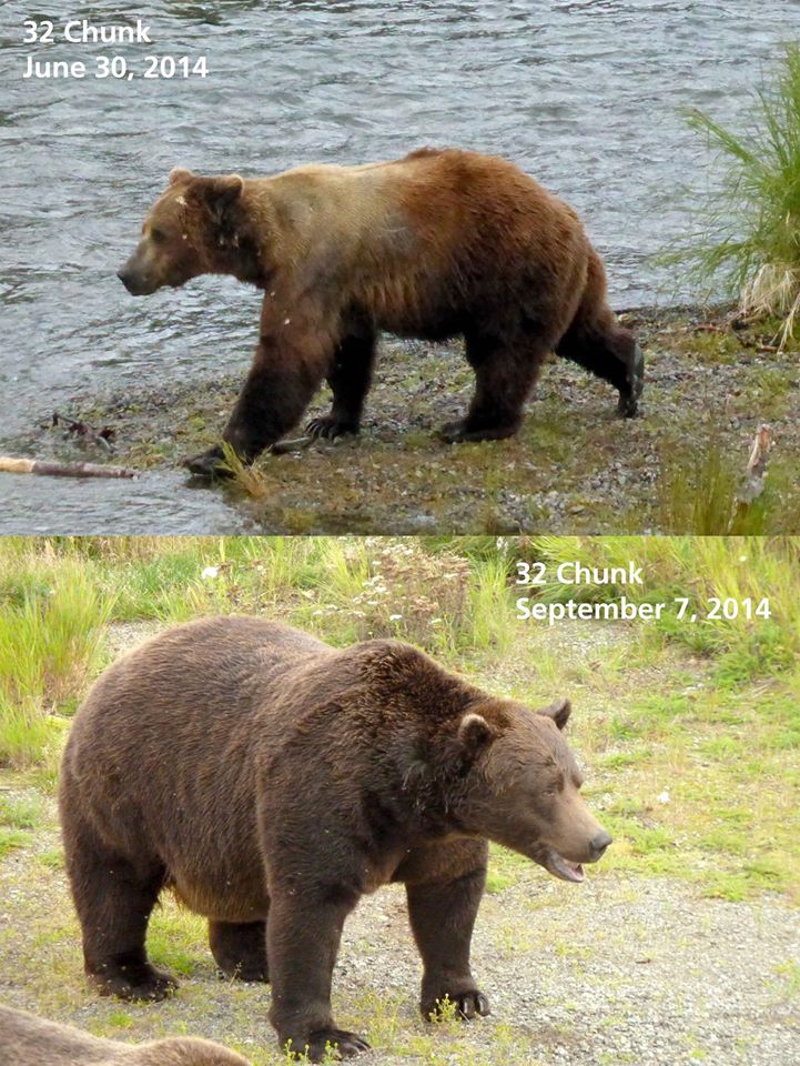 Katmai – 32 Chunk | MowryJournal.com