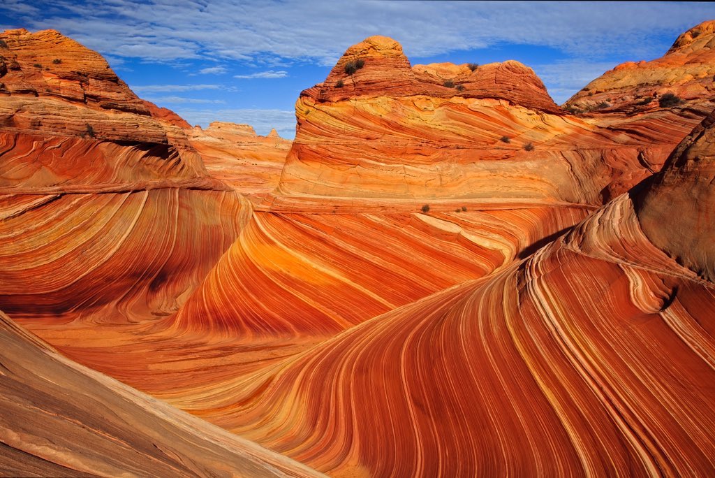 The Wave | MowryJournal.com