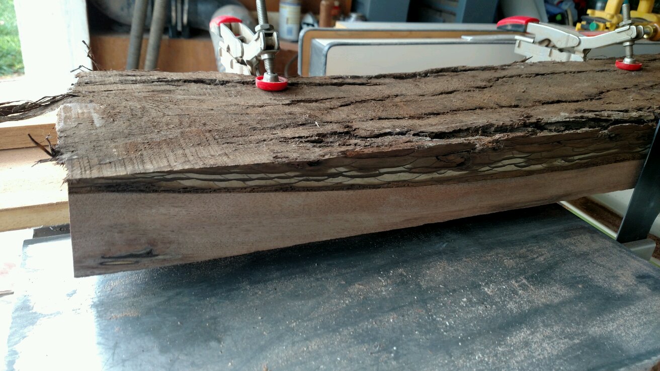 rough-walnut-20 | MowryJournal.com
